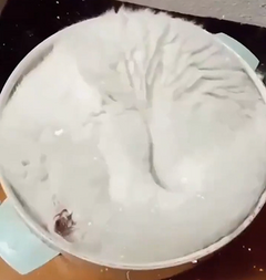 【Twitterまとめ 4/17～4/23】「クリームから手が」他 276ネタ目 - 小ネタまとめ | naglly.com