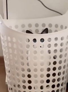 【Twitterまとめ 1/8～1/14】「ぎょろりん」他 311ネタ - 小ネタまとめ | naglly.com