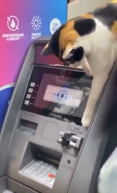 【Twitterまとめ 6/10～6/16】「おせっかいがすぎるATM案内係」他 333ネタ - 小ネタまとめ | naglly.com